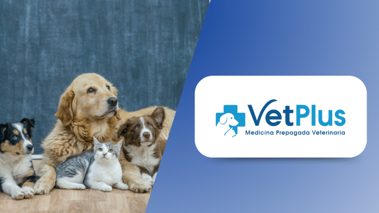 VetPlus - Fonalianza